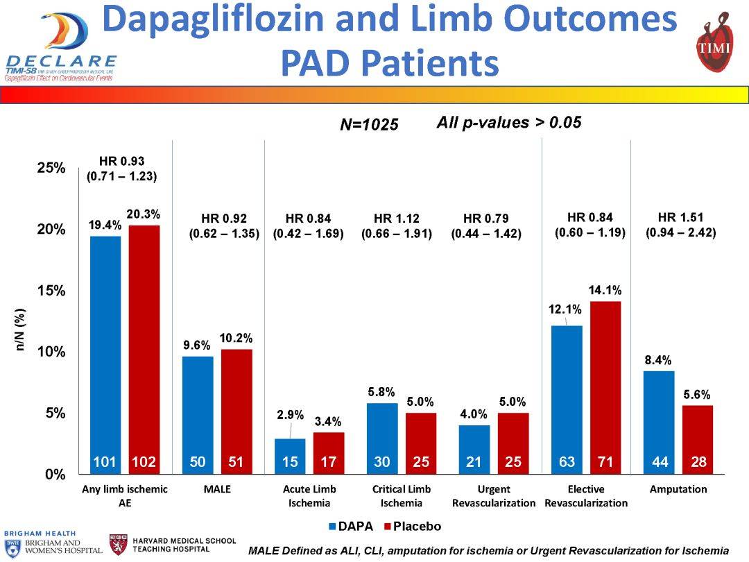 ACC 2019丨降糖药达格列净会增加截肢风险？Declare-TIMI 58研究发现，应用达格列净没有明显的肢体事件额外风险！-搜狐大视野-搜狐新闻