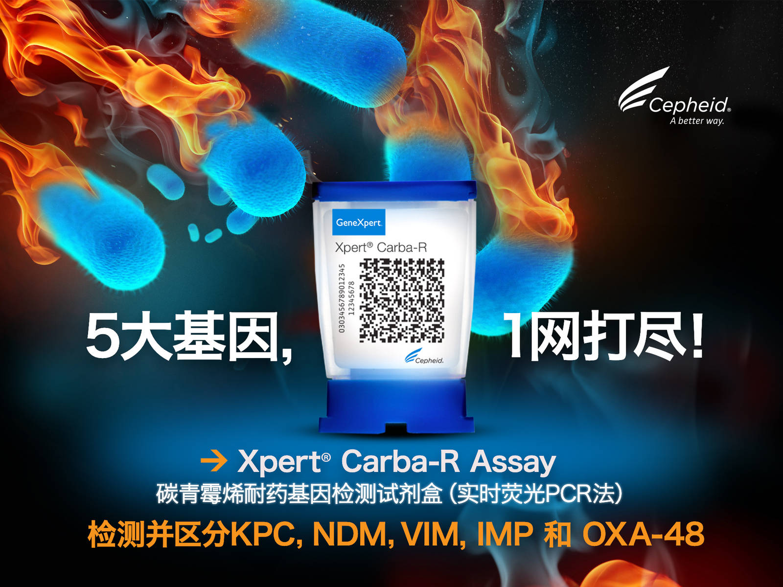赛沛xpert Carba R Assay碳青霉烯耐药基因检测试剂盒获nmpa认证在华上市 搜狐大视野 搜狐新闻