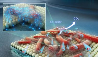封面故事· 画龙点睛纳米线 — Environ. Sci. Technol. Lett. 设计作品解析 No.29-搜狐大视野-搜狐新闻