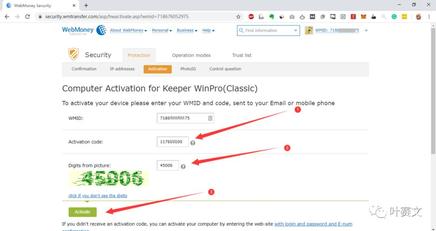 最新webmoney 升级、解除限额教程(2020年更新)-搜狐大视野-搜狐新闻