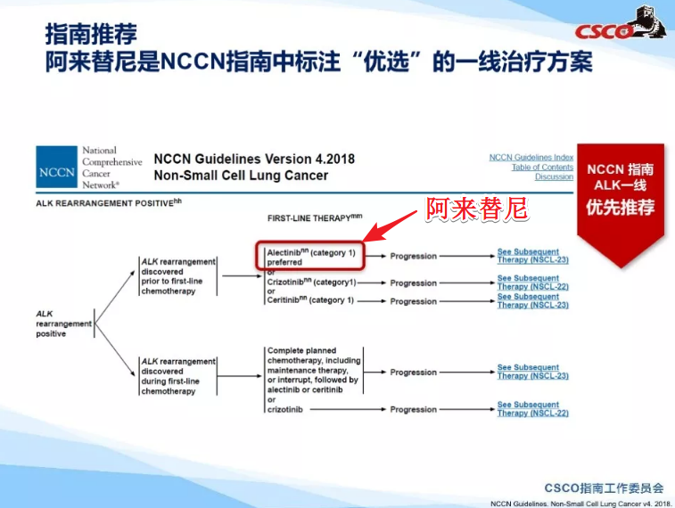 2019《CSCO肺癌诊疗指南》更新要点解读，附NCCN、CSCO指南下载_阿来