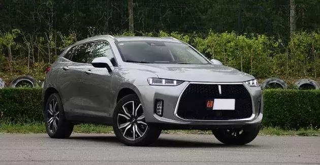 同样都是国产插混车佼佼者，为何WEY P8销量不及比亚迪唐DM零头？_搜狐汽车_搜狐网