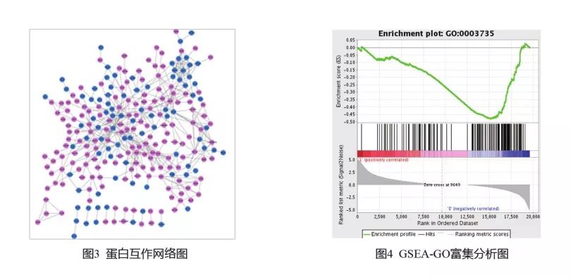 Smart Seq2单细胞转录组测序 转录调控信息分析利器 进行