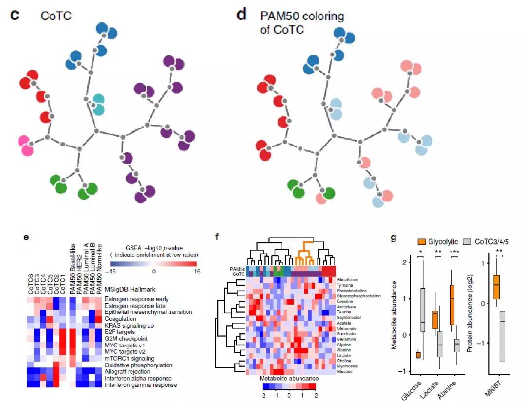 Nat Commun：蛋白基因组学再下一城！系统揭示乳腺癌的全景画像_肿瘤