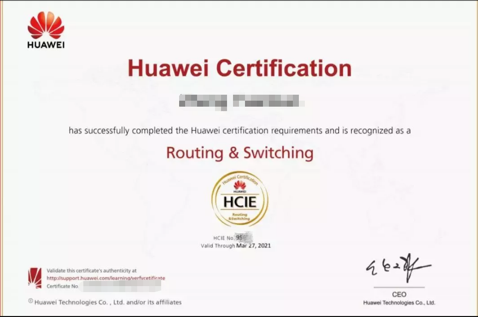 华为HCIE是什么？考华为HCIE认证有什么用？_领域