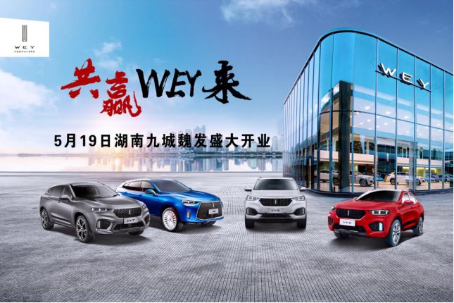 共赢WEY来 湖南九城WEY品牌4S店盛大开业_搜狐汽车_搜狐网