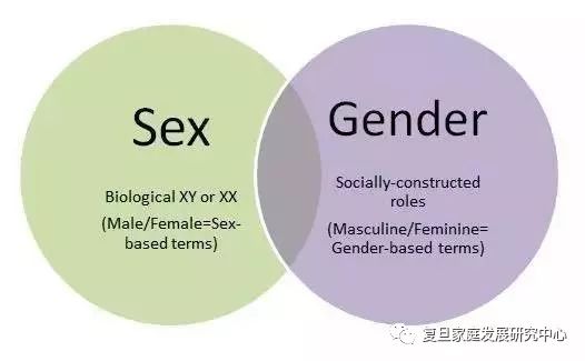 新课推荐 复旦沈奕斐老师开讲:性与别——你的性别是如何被社会所塑造的?课程