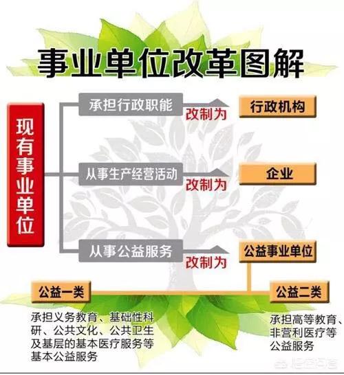 事业单位改革，网友说，惨了，车补没了、编制也没了！ 分类