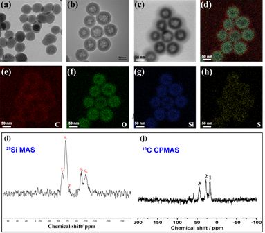 Adv. Sci. | 多功能生物可降解介孔纳米复合物用于肿瘤的诊疗一体化研究_治疗