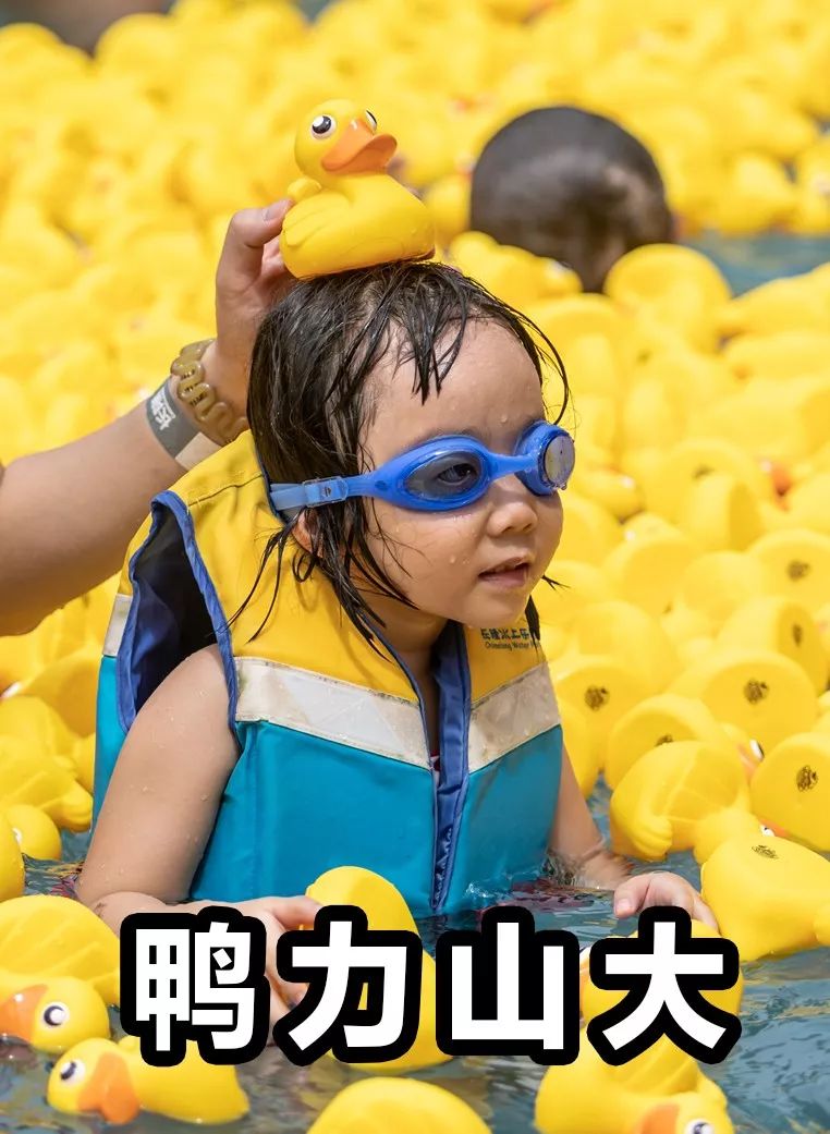 小黄鸭的独家 摄”魂大法满池