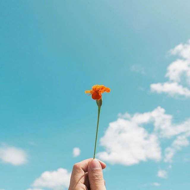 不讨好,不解释,不勉强,不凑合(深度好文)生活