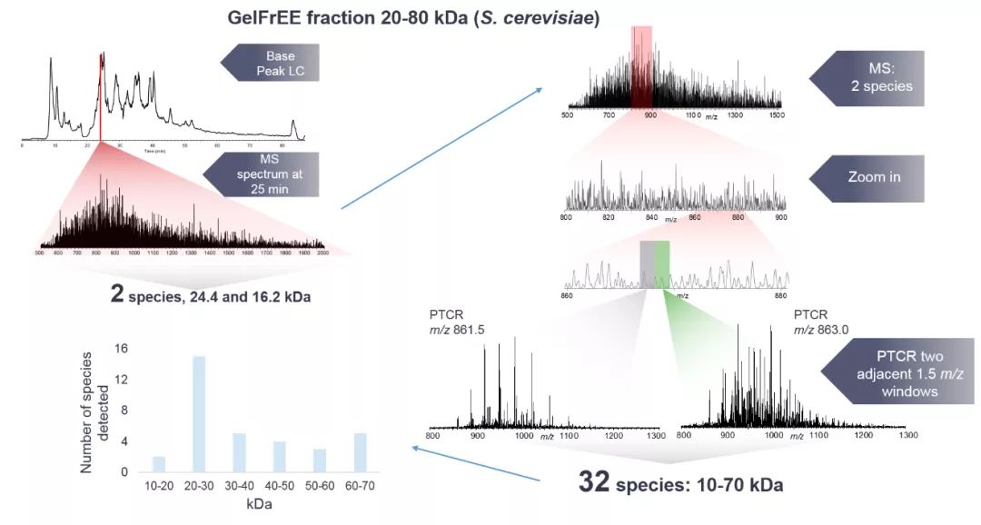 创新巅峰之作|全能型Orbitrap Eclipse三合一质谱仪_分析