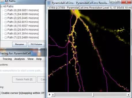 老司机带你解锁ImageJ三维图像分析_Stack