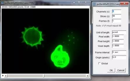 老司机带你解锁ImageJ三维图像分析_Stack
