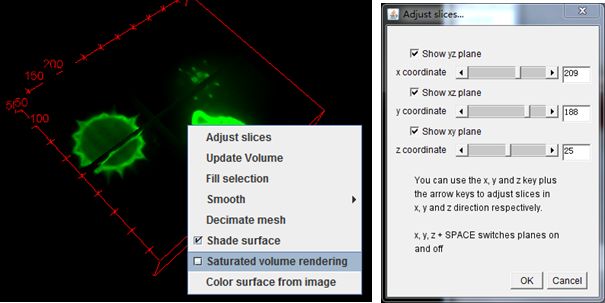 老司机带你解锁ImageJ三维图像分析_Stack