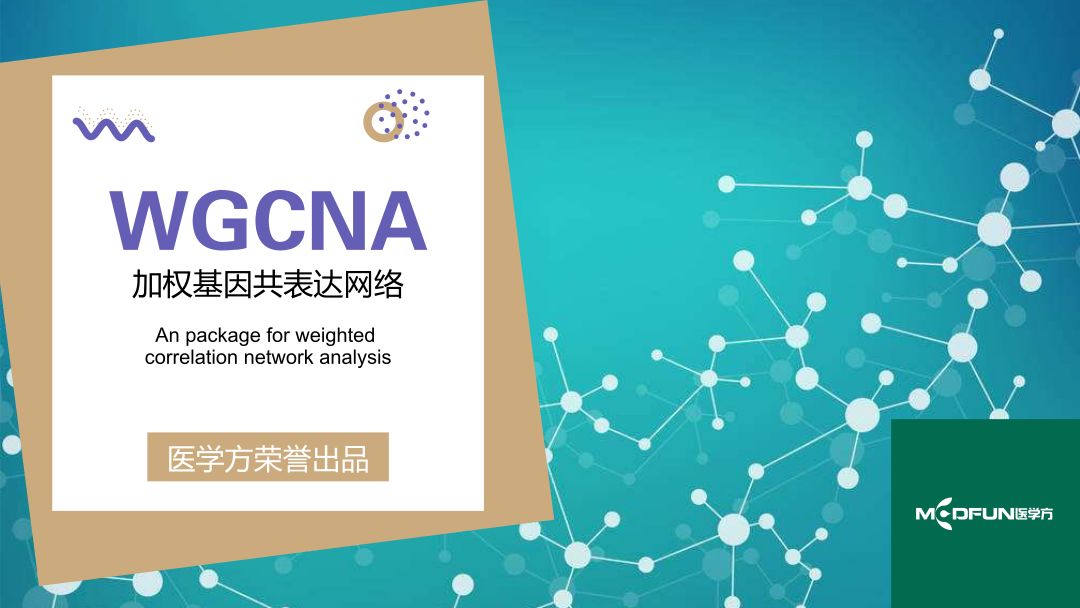 WGCNA来啦！寻找目标基因不发愁！_课程