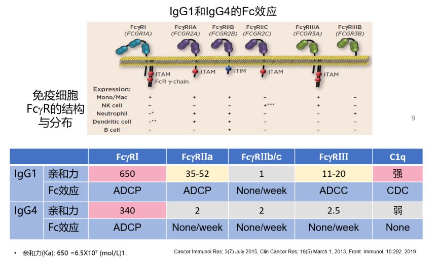 高全立教授揭秘免疫治疗：单抗药物天天用，你知道科学家们是如何一步步优化升级PD-1与PD-L1抗体的吗？_作用