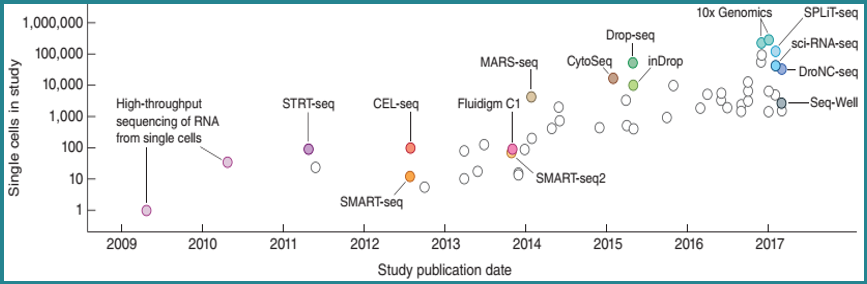 Dr.cell专栏 | 深入浅出解读单细胞转录组测序技术路线_研究