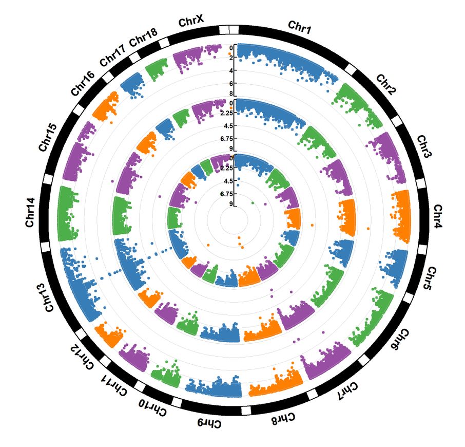 绘制高质量的曼哈顿图，就用CMplot包啦！_col