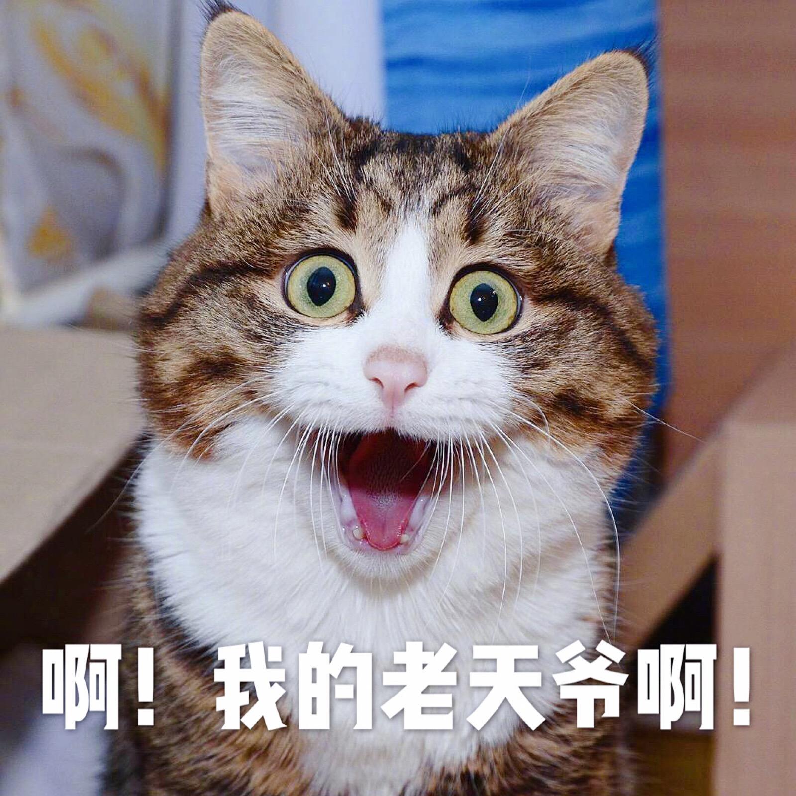 搞笑：爱看热闹的中国人，总是被扎堆的人群所吸引 于多