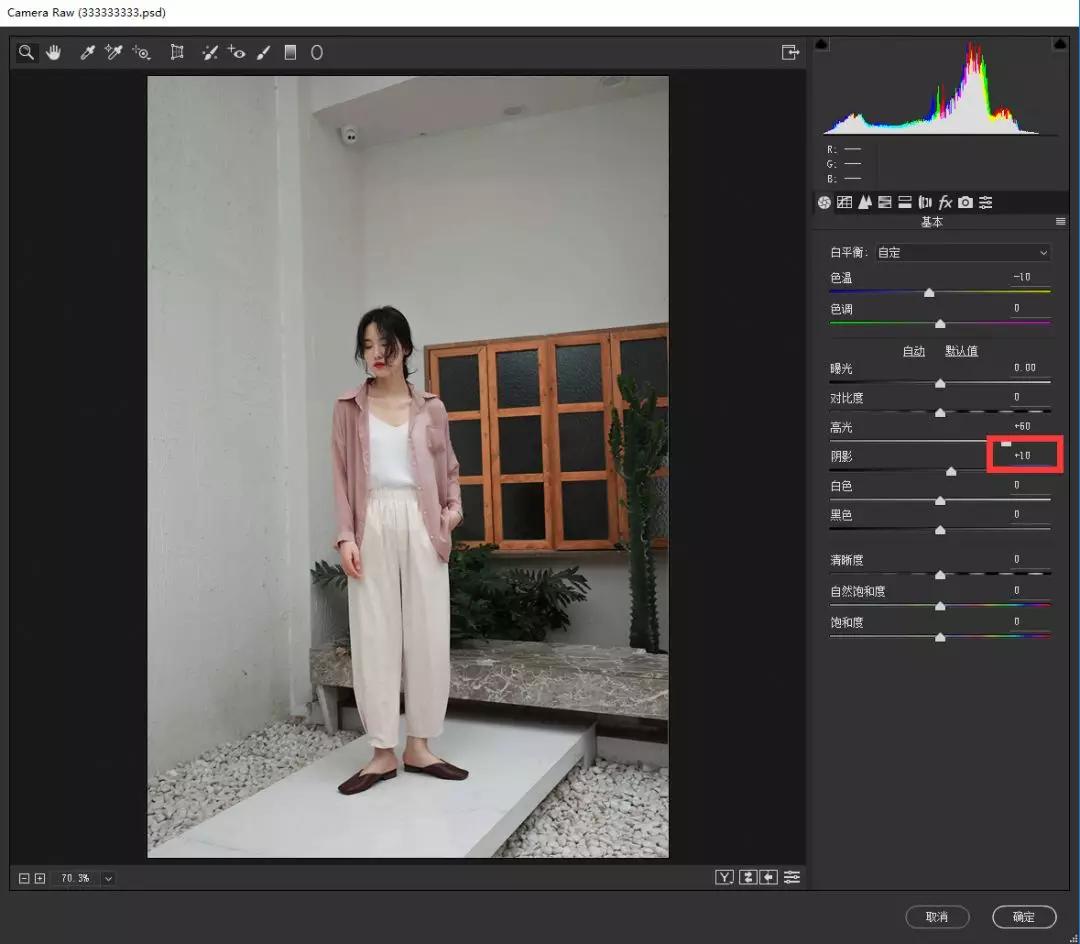 【PS教程】Camera Raw滤镜是什么？竟然能快速修图、提升图片质感！-搜狐大视野-搜狐新闻