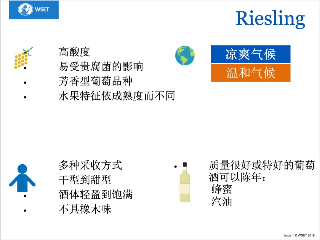 WSET二级课程，又又双叒改版升级了！_Furmint