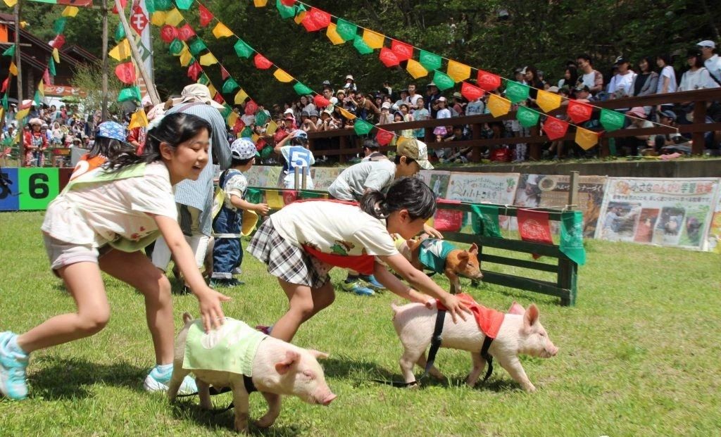 【20个日本农场案例】大王芥末农场-栃木县草莓种植园-mokumoku农场（2）_山葵