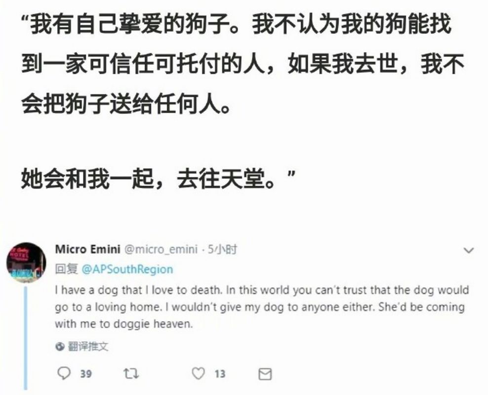 好残忍，主人死后要求宠物狗陪葬，健康的狗狗惨被杀死、火化、埋葬！对此你怎么看？ 搜狐大视野 搜狐新闻 