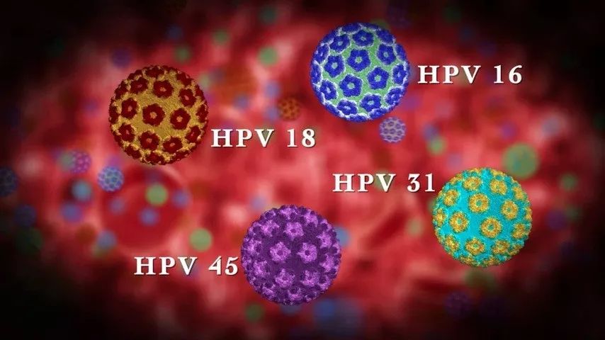What is HPV and why should you vaccinate HPV（人乳头状瘤病毒）以及接种该疫苗必要性_cause
