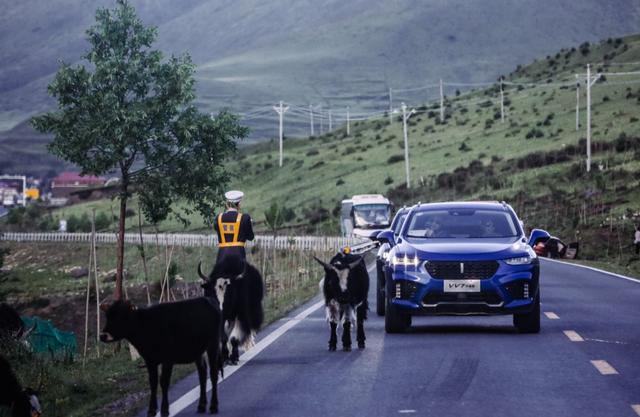 跨越G318国道的最佳搭档已诞生！没错，就是WEY VV7升级款_搜狐汽车_搜狐网