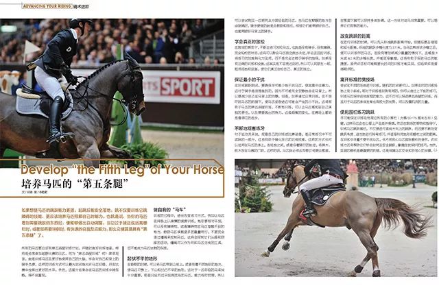 培养马匹的“第五条腿” 搜狐大视野 搜狐新闻
