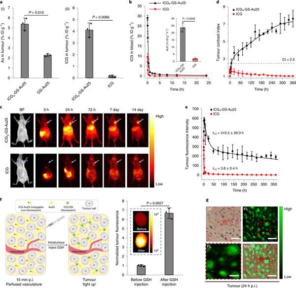 Nat. Nanotechnol.: GSH介导的生物转化调节纳米粒子的体内转运_荧光