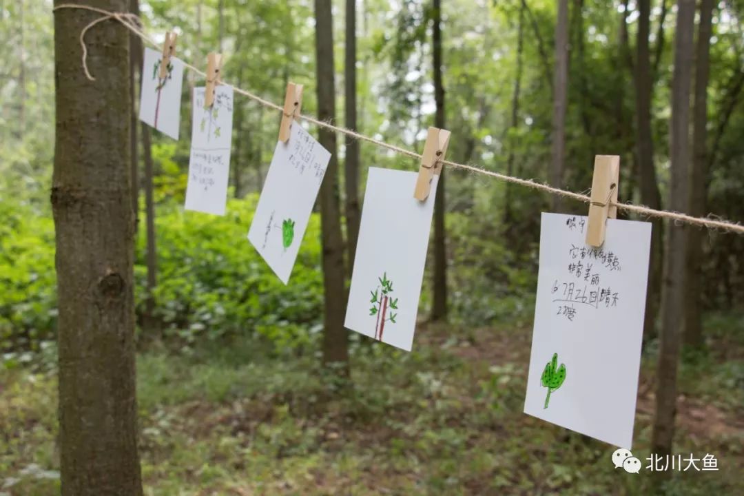 来自大自然的馈赠 精诚所至 搜狐大视野 搜狐新闻