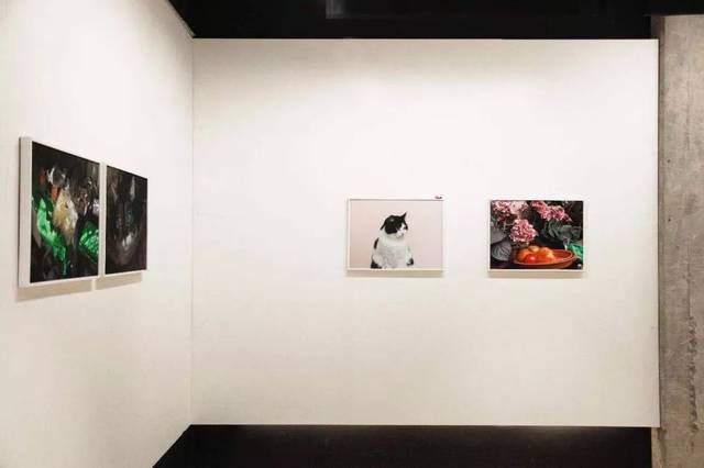 青年烩预告｜轴艺术项目 AXIS Art Project _厦门