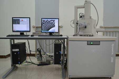 【动图秒懂】四大显微设备SEM、TEM、AFM、STM工作原理，看图说话_样品