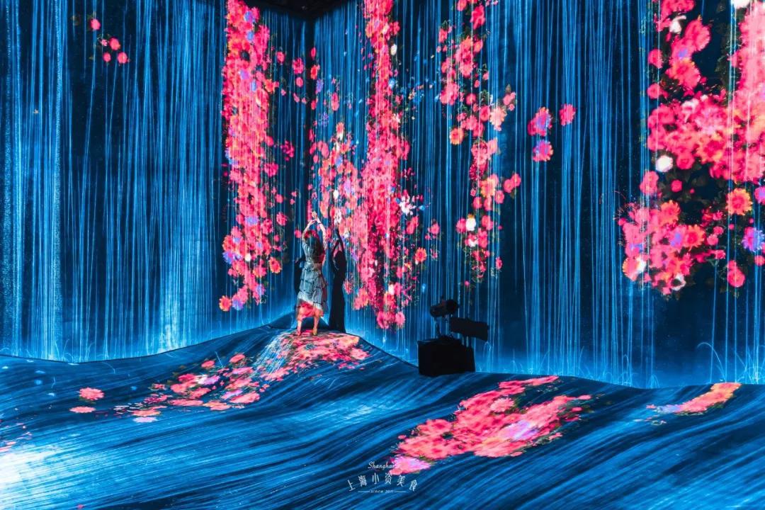 全球第2座teamLab无界美术馆来魔都啦，近50个场景美到爆炸！-搜狐大视野-搜狐新闻