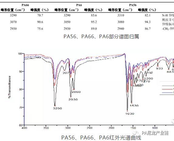 【新闻资讯】我国自主开发的PA56替代PA66、PA6？格局低了？_搜狐汽车_搜狐网