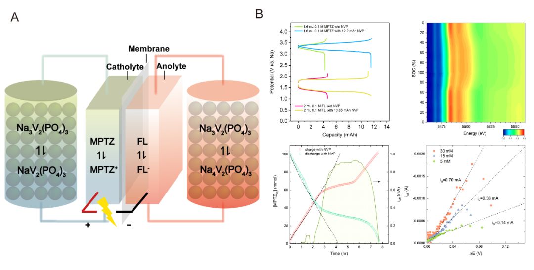 Advanced Energy Materials：氧化还原靶向反应，Na3V2(PO4)3作为固相储能材料用于钠离子液流电池_电解液