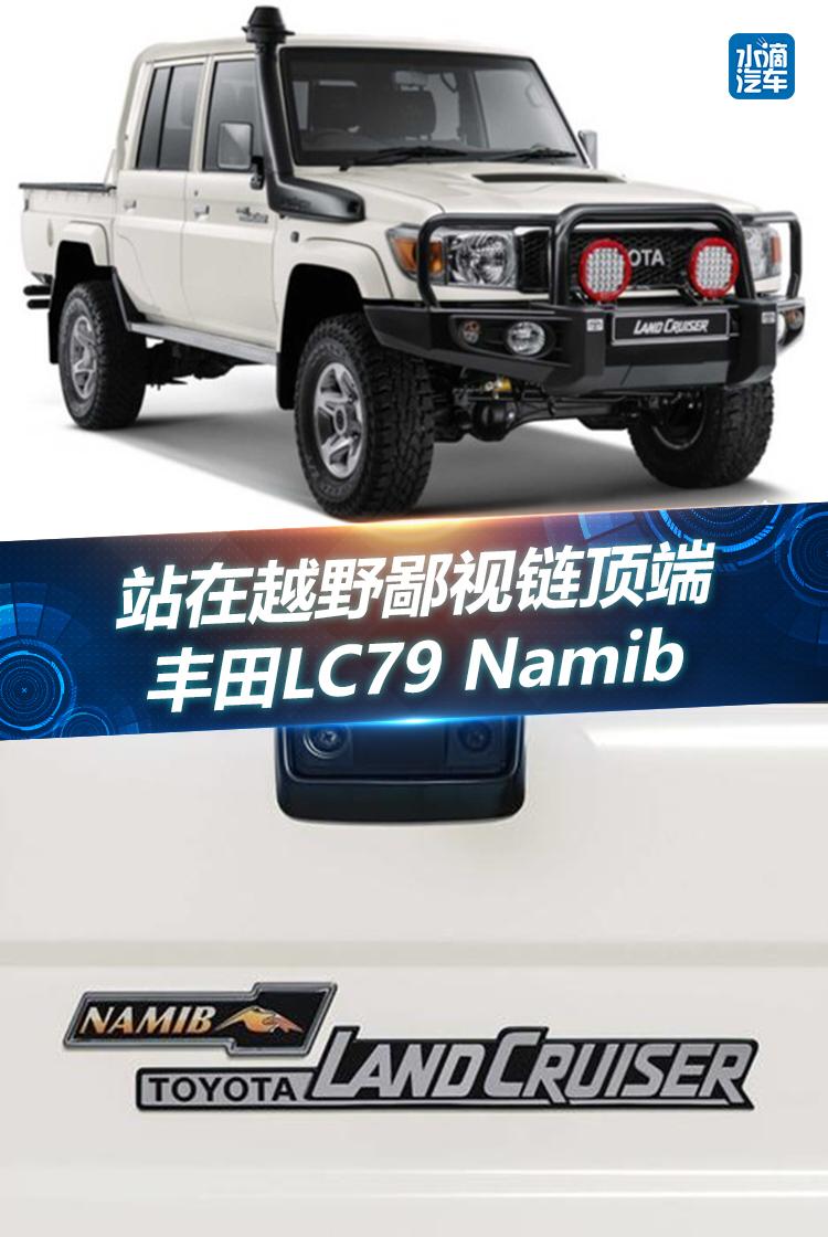 站在越野鄙视链顶端 丰田LC79 Namib特别版车型_搜狐汽车_搜狐网