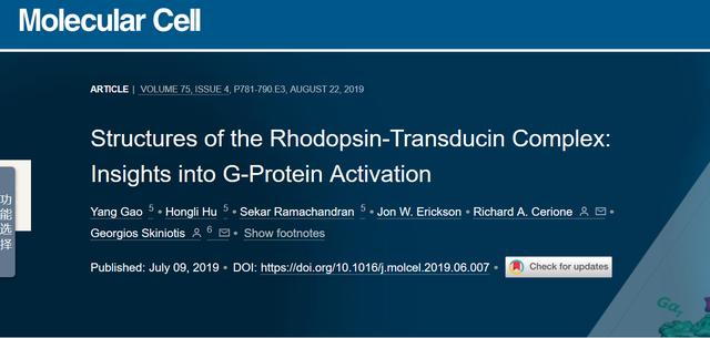 Molecular Cell：视觉的分子基础被成功揭示-搜狐大视野-搜狐新闻
