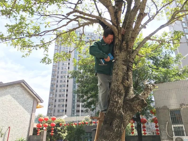 浓情九月 喜迎国庆 九月服务品质报告请查收! 业主