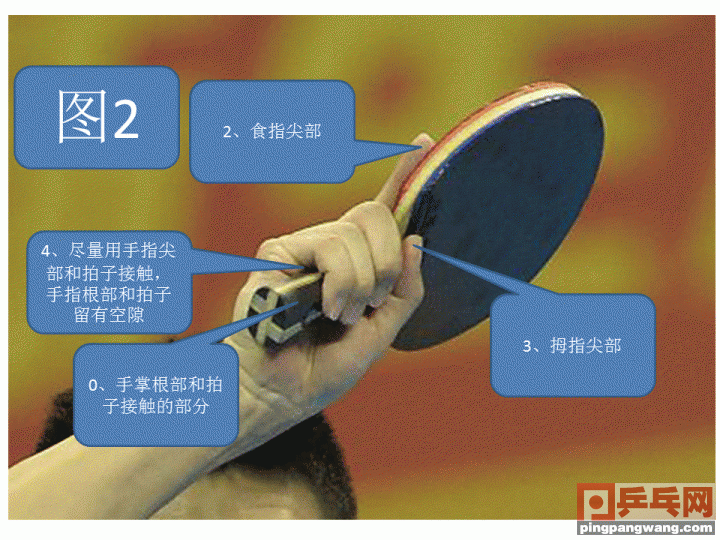 乒乓球教学:依据人体工程学,让你的握拍更科学,打球更轻松 搜狐大视野 搜狐新闻