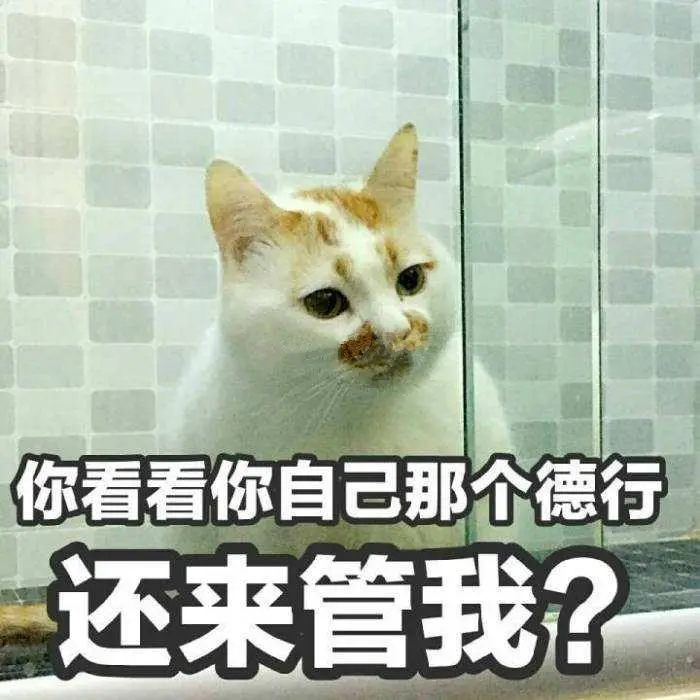 引众多大佬追捧的办公室风水，你信吗？ 搜狐大视野 搜狐新闻