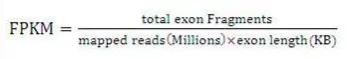 【科研】转录组测序——RPKM、FPKM、TPM_read