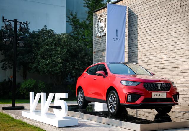 听说WEY 2020款VV5让喵主子都失宠了？论高智商的重要性_搜狐汽车_搜狐网