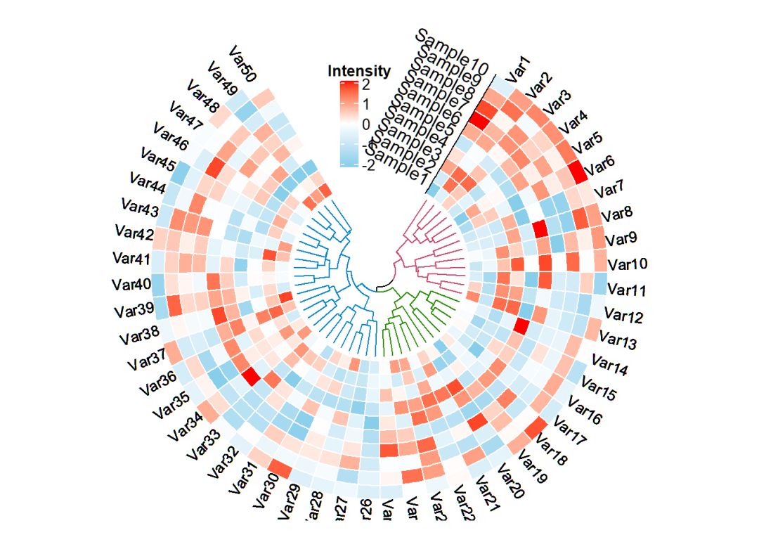 R语言circlize包总结_circos