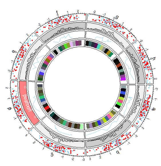R语言circlize包总结_circos