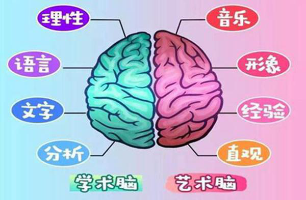 左脑和右脑有区别吗?左脑右脑哪个更发达的人聪明些 搜狐大视野 搜狐新闻