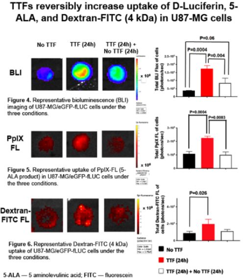 2019年美国神经肿瘤学会年会（SNO2019）TTFields精彩速递——TTFields与药物联合治疗的增效机制和初步实践_研究