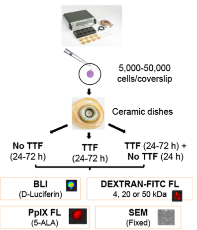 2019年美国神经肿瘤学会年会（SNO2019）TTFields精彩速递——TTFields与药物联合治疗的增效机制和初步实践_研究